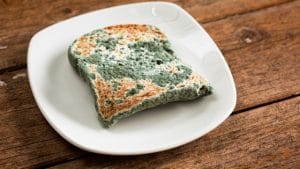 Hidden Molds in Everyday Foods: Prevention, and Safety Tips